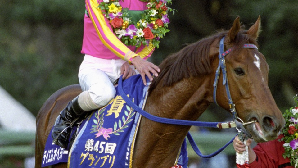 Horse racing: 7-time Japanese G1 champion T M Opera O dies