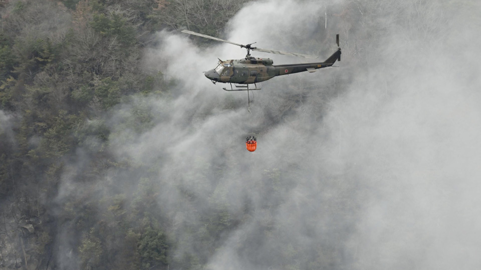 Wildfires spread in western Japan, SDF joins firefighting efforts