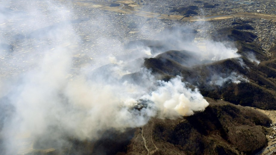 Forest fire north of Tokyo burns 50 hectares, still spreading