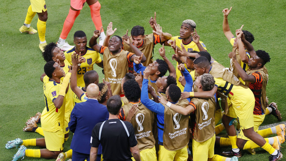 Football: Moment proves too big for hosts Qatar in World Cup opener