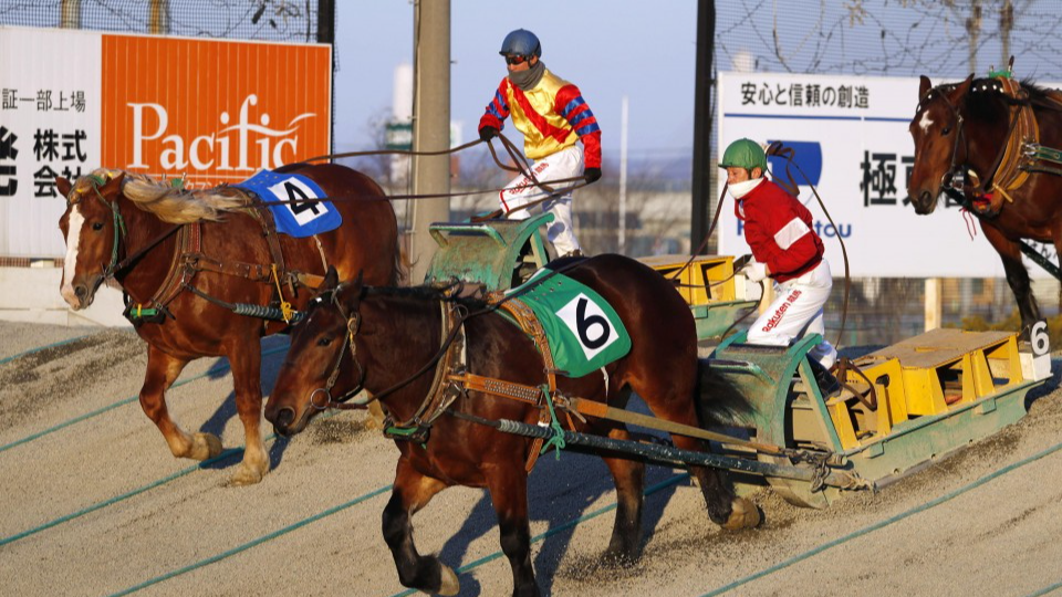 FEATURE: Tokyo Olympic torch relay to provide cultural showcase amid ...